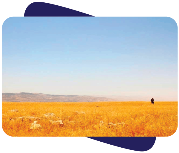 301.1: FUHEIS TO IRAQ AL-AMIR – Jordan Trail